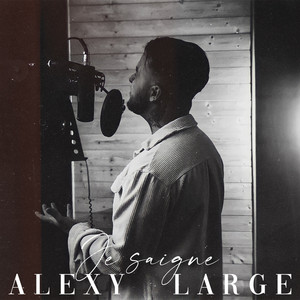 Alexy Large : tous les albums et les singles