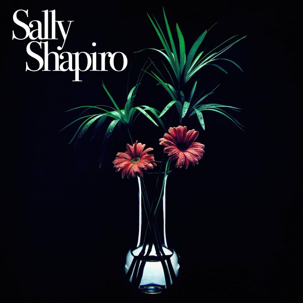 Sally Shapiro Sad Cities - Rock / Folk / Indé - Pure Charts