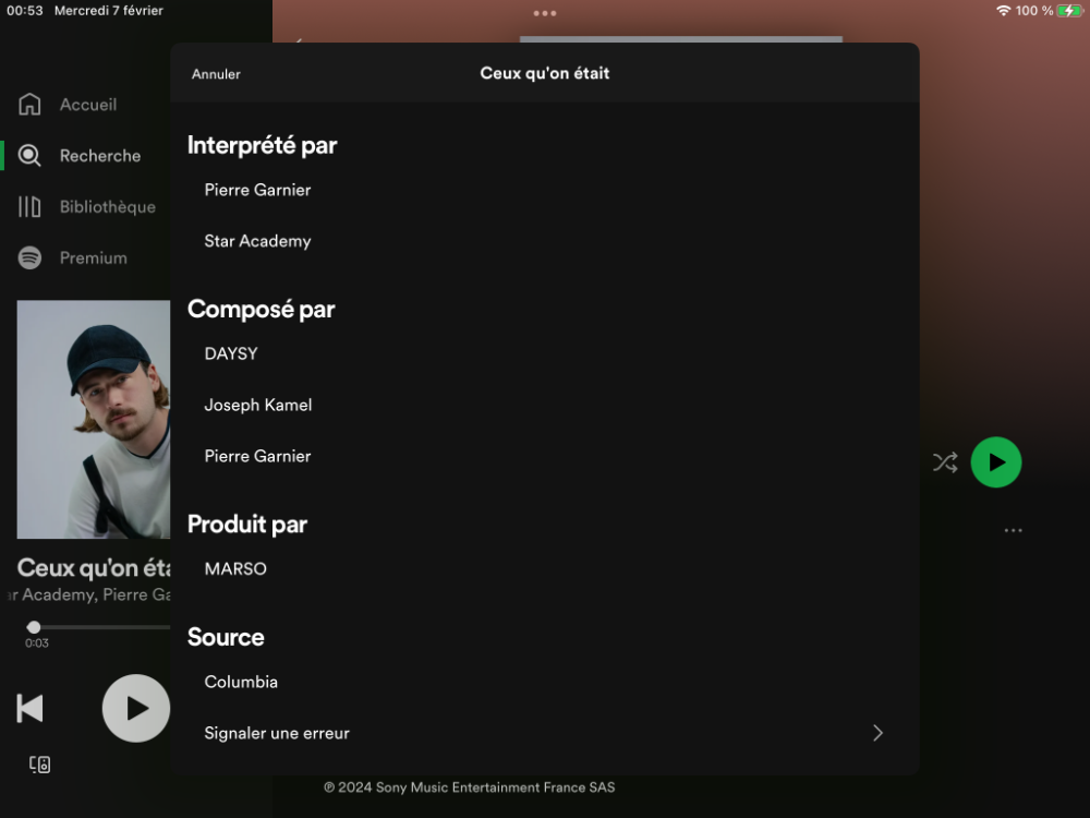 Pierre Garnier 🧢 Chaque seconde • Single : L’horizon - Page 22 - Chanson / Variété / Pop ...