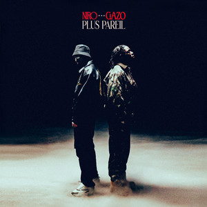 Niro : tous les albums et les singles