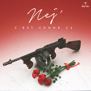 Nej : tous les albums et les singles